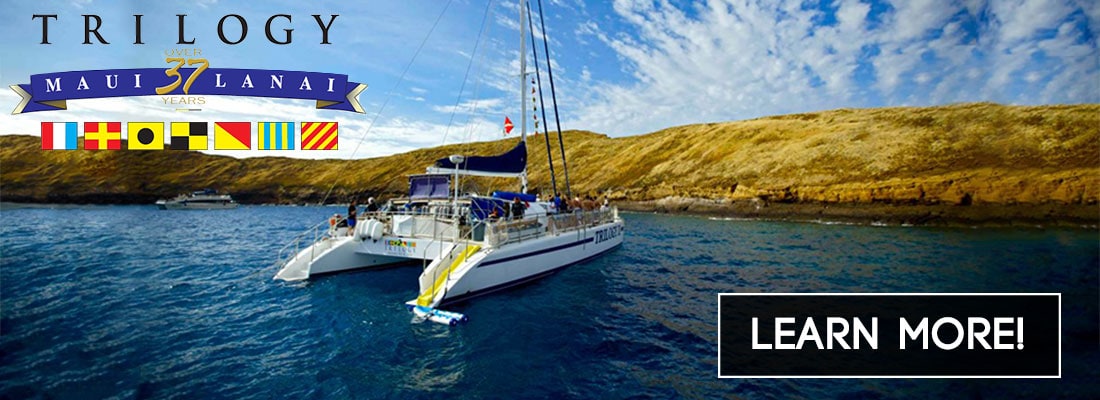 Where is Molokini Crater? | Molokini Maui Hawaii location