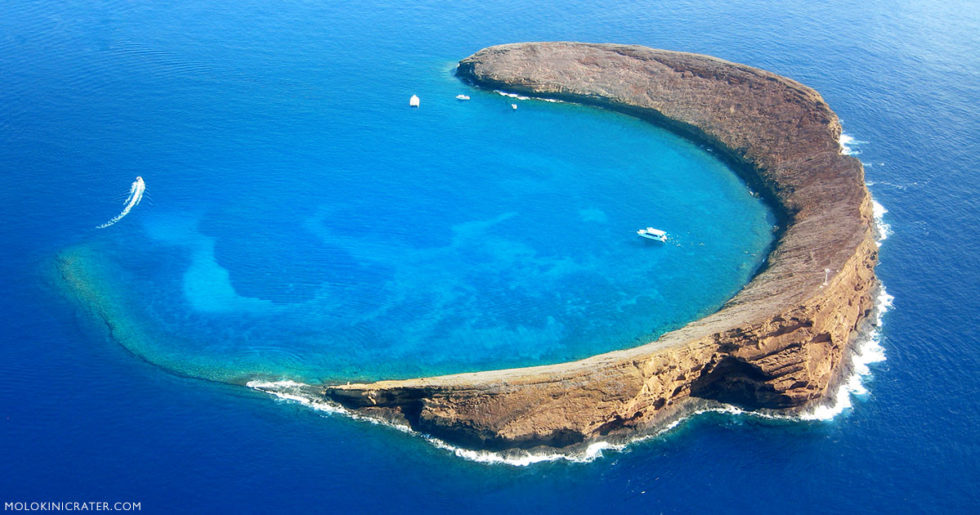 Molokini Common Questions Answered | Molokini Crater Maui