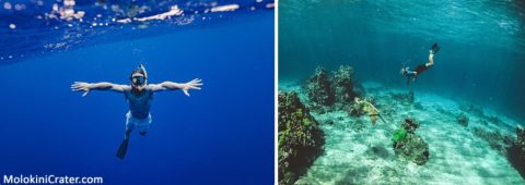 Tips For Taking Great Underwater Photos
