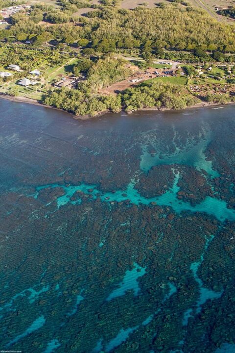 Olowalu Snorkeling Review - Molokini Crater